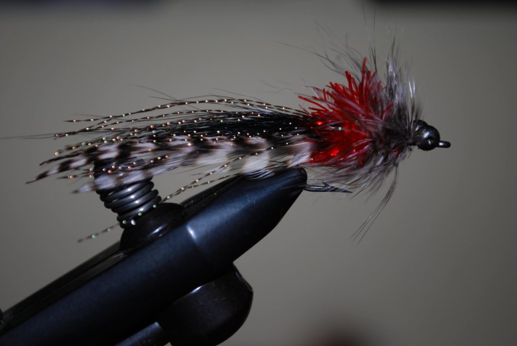How To Tie And Fish A Whistler Fly - FishNY