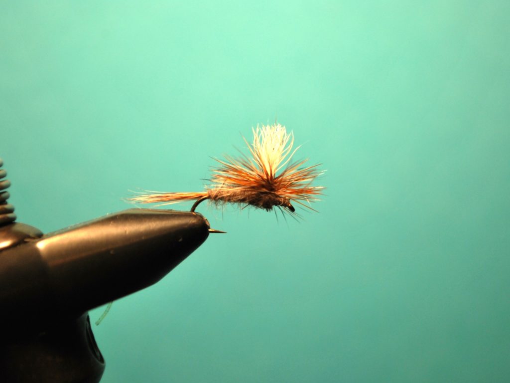 Fly Fishing New York: Top Spots , Tips, and Techniques