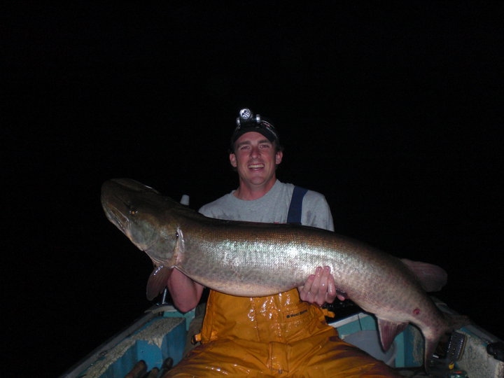 Summer Night Muskie Fishing - So Much Fun - Such Big Fish...