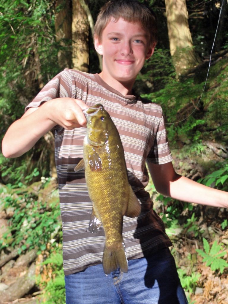 Largemouth and Smallmouth Bass – Habitat – Identification...