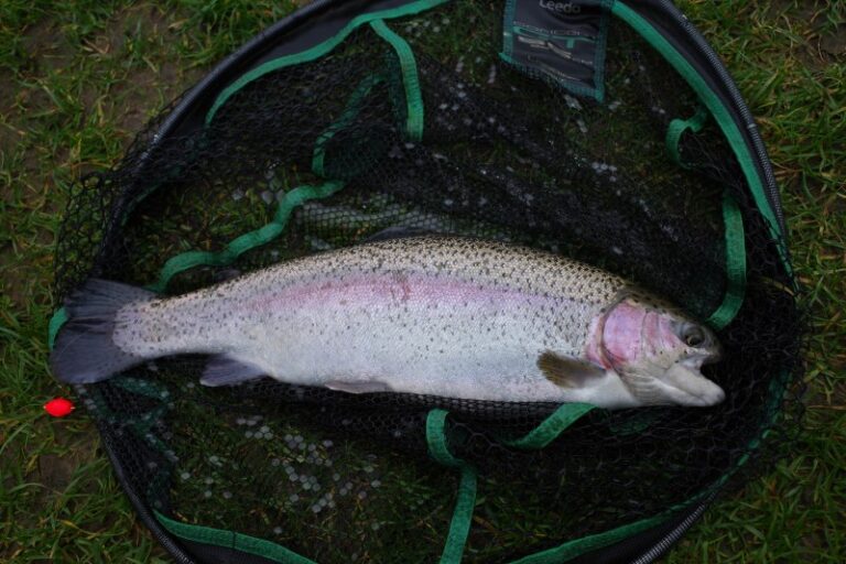 Old Forge Pond Fishing: Access to the Fulton Chain of Lakes