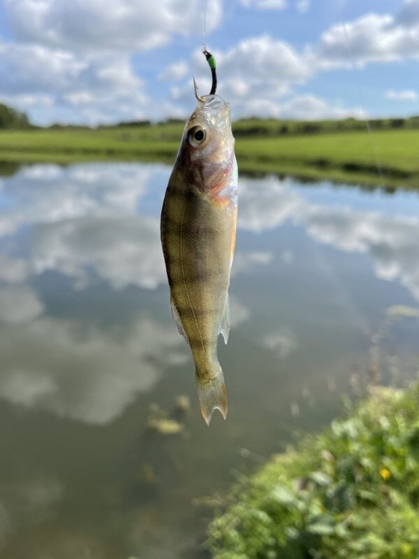 Explore Third Lake Fishing: Seasons, Tips, & Historic Charm