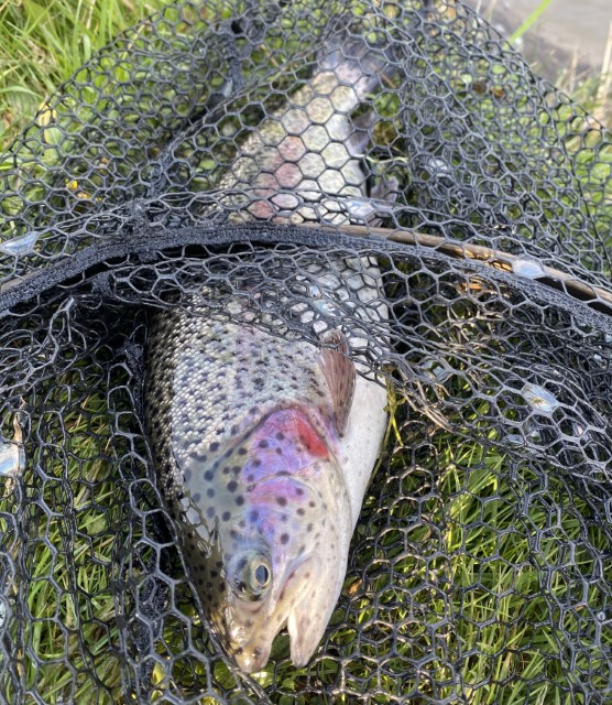 Fourth Lake Fishing NY: Seasons, Records, and Ice Adventures