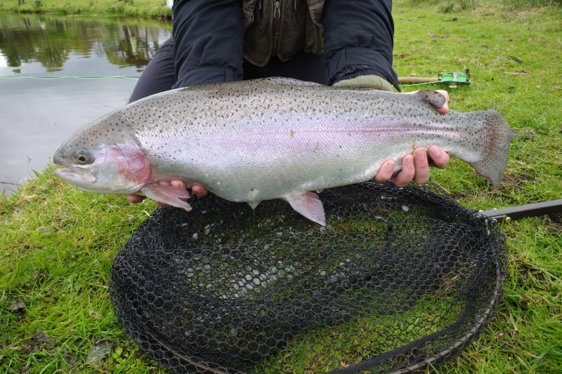 Discover Genesee River Fishing: Seasons, Species & Adventures