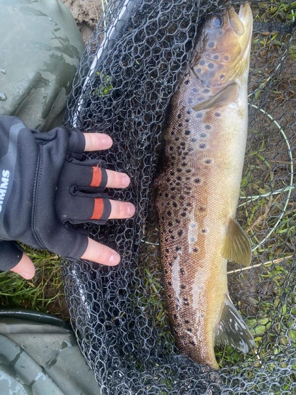 Saranac River Fishing Seasons, Species, Tips - Plattsburgh NY