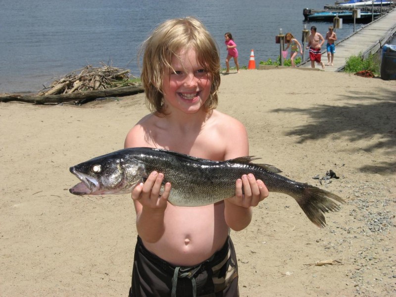 Lake Erie Fishing Guide By Section, Season, Hotspot, Articles