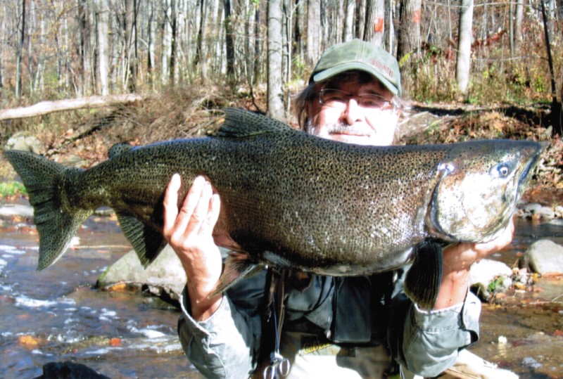 Salmon River Fishing Guide: Seasons, Species, and Records