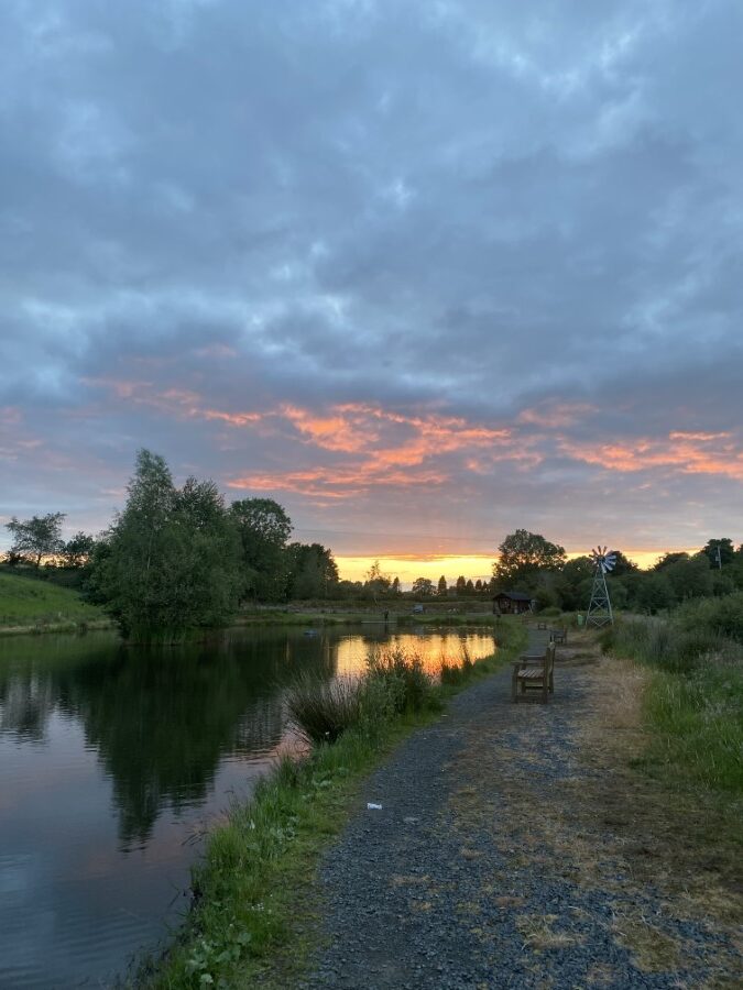 White Perch Fishing in NY: Tips, Spots & Techniques